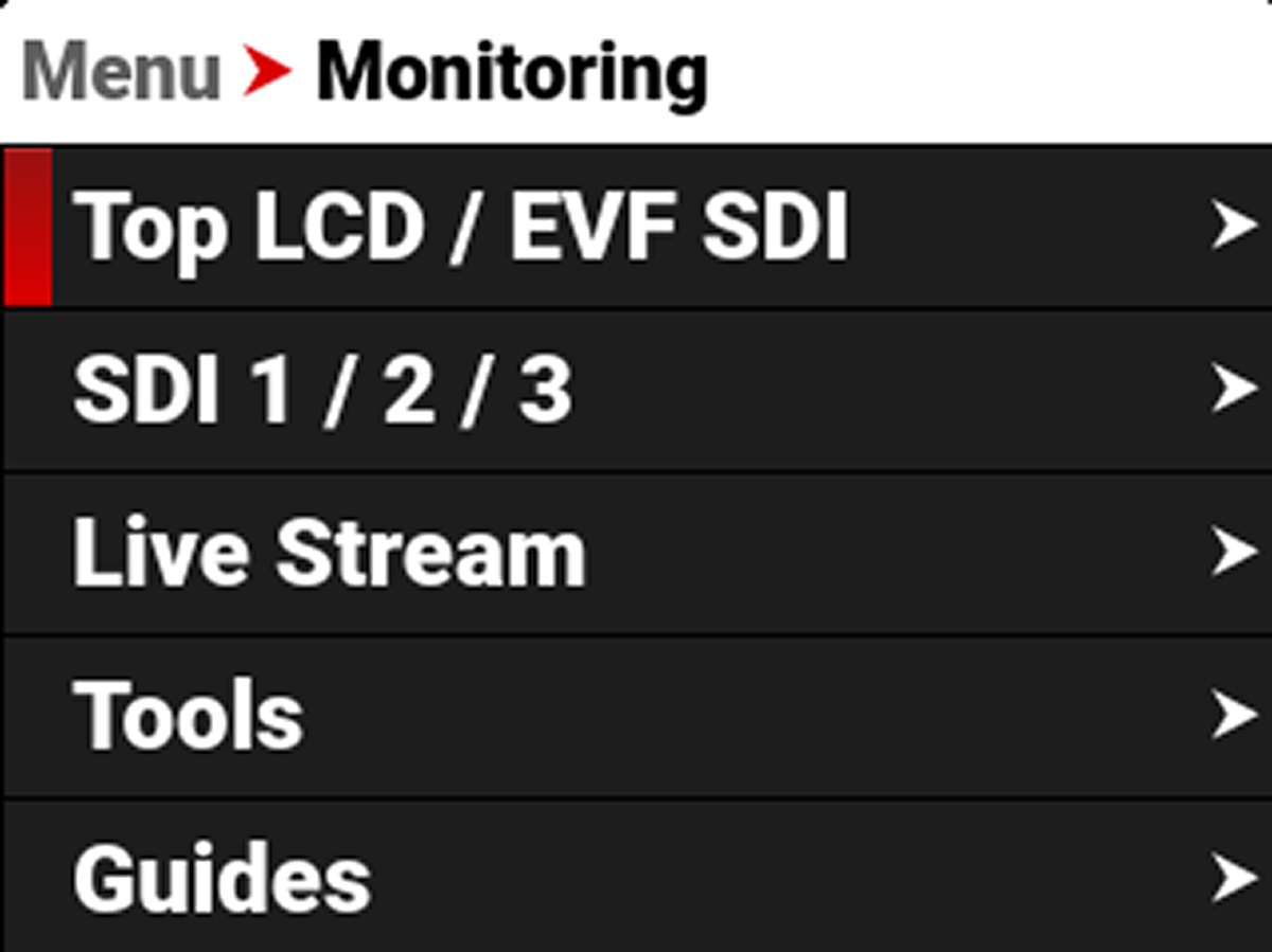 Top LCD / EVF SDI